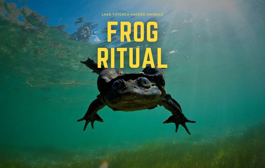 Frog Ritual on Lake Titicaca - Mystery Peru