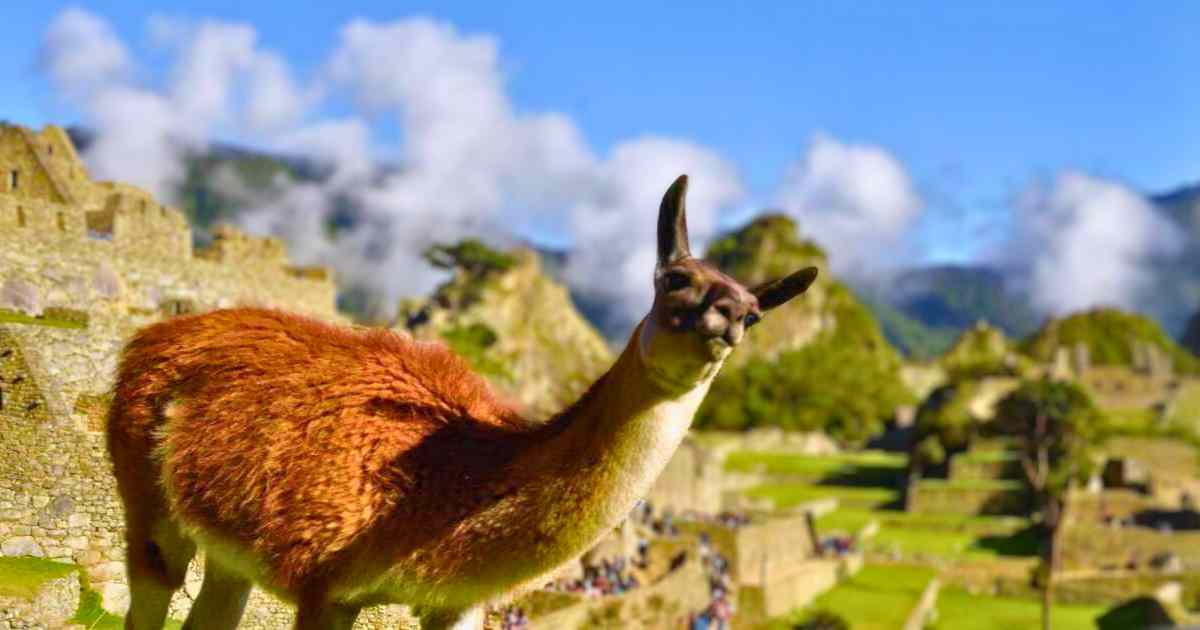 Andean Discovery - 10-Day Adventure in the Land of the Incas