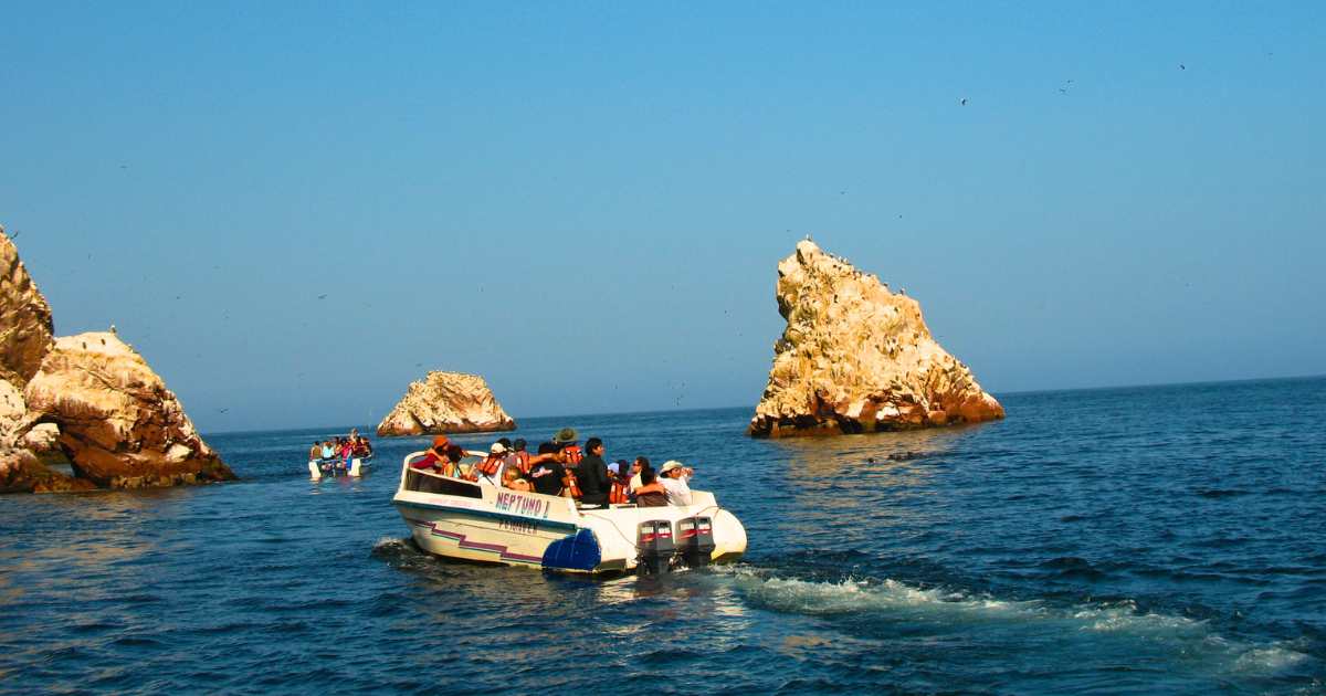 Tour to the Ballestas Islands and Nazca Lines from Lima - Full Day