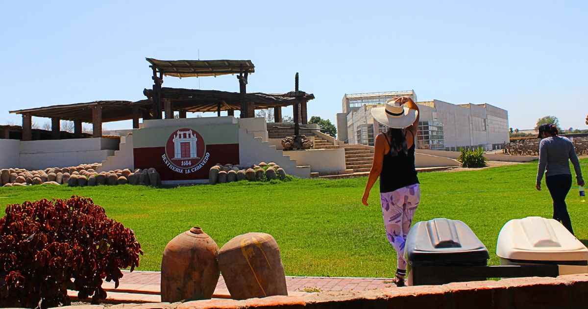 Ica City Tour - Visit the Best of Ica - Privave Tour in English